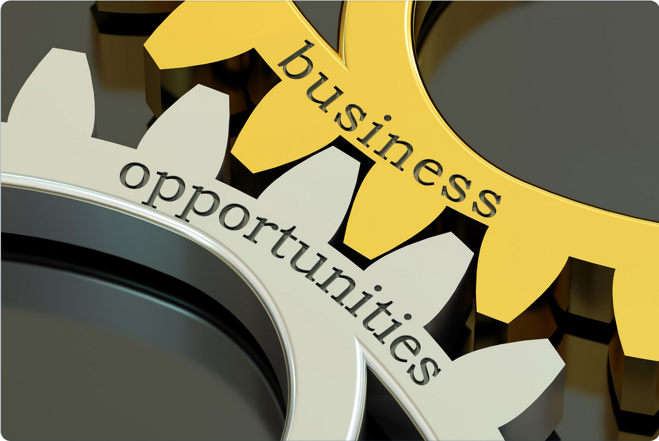 Business New Opportunities Identification - Rubedo Data Solutions